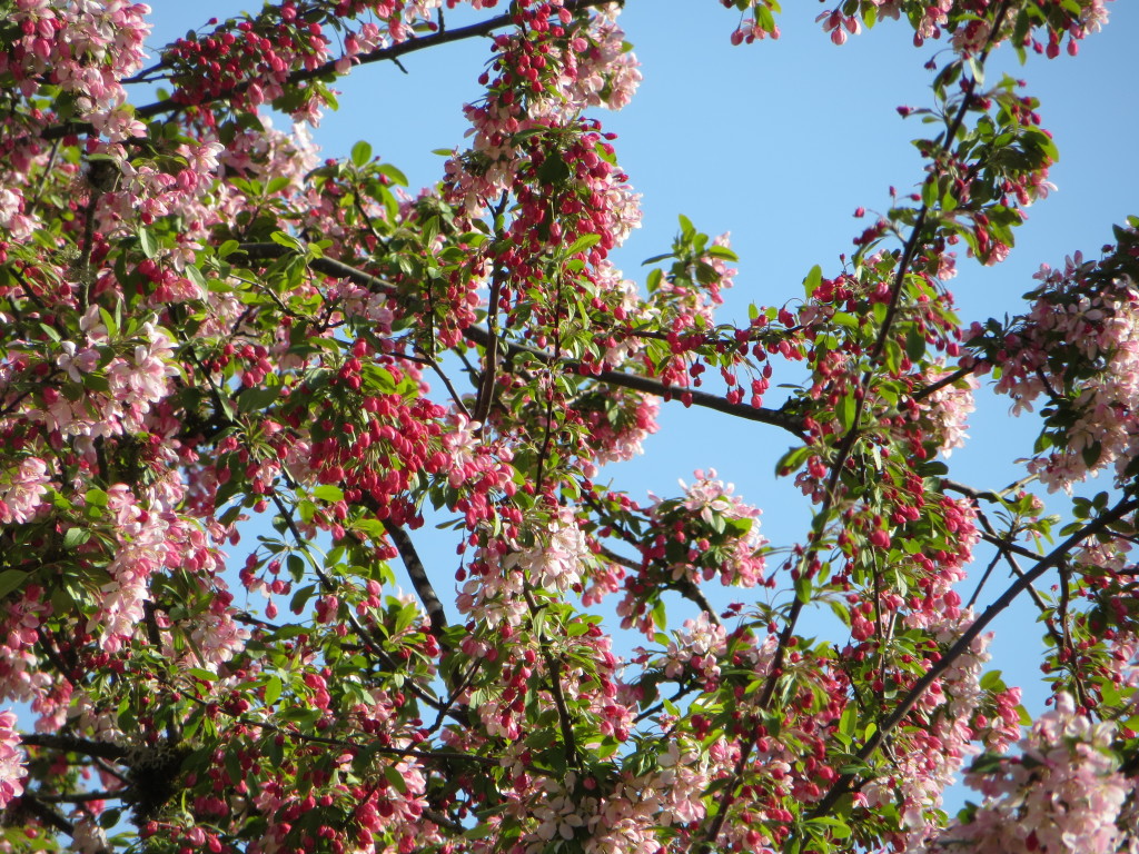 Lessons from the Spring Season - Insightful Bean