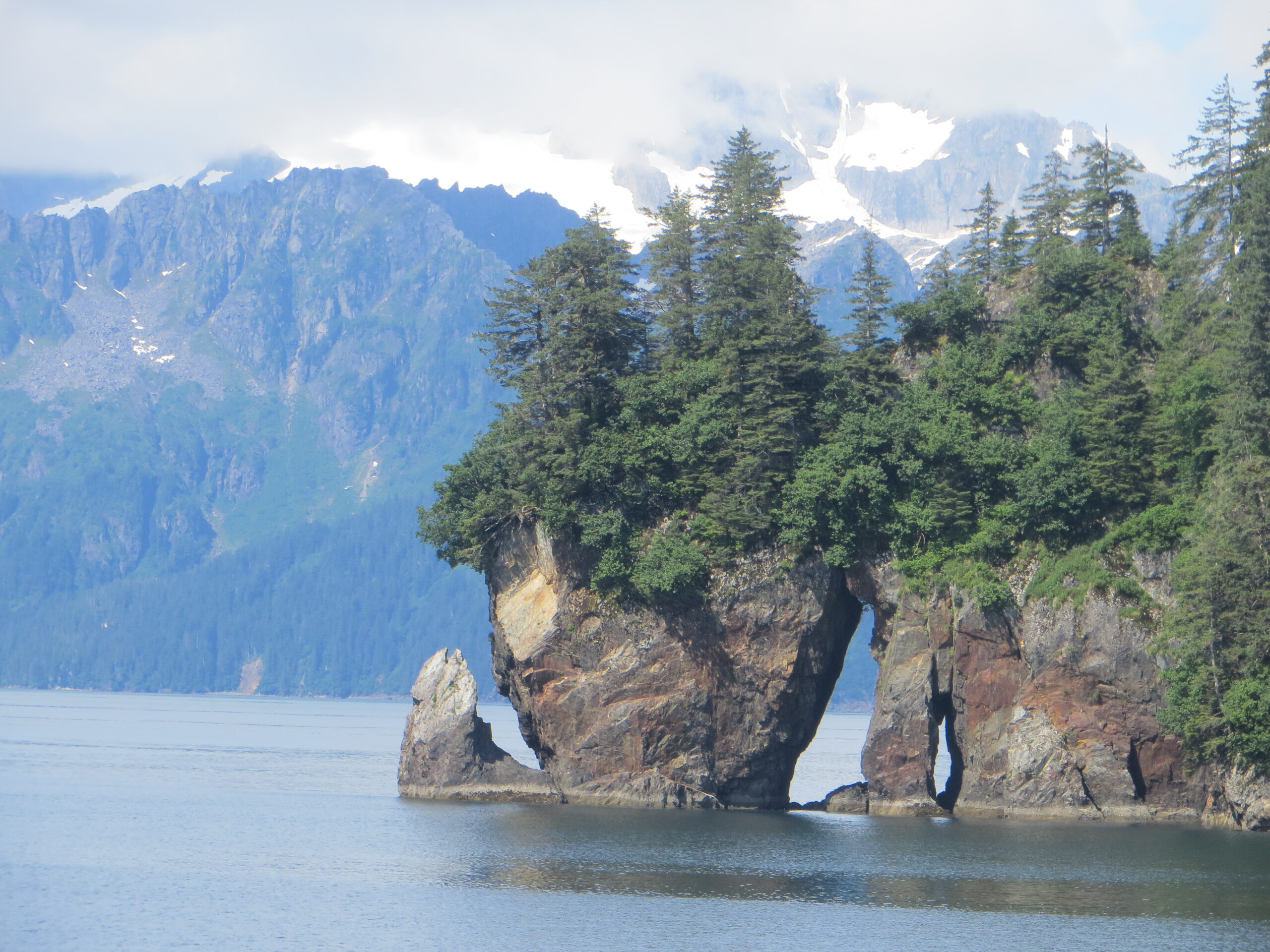 Embracing the Paradoxes of Life - Insightful Bean